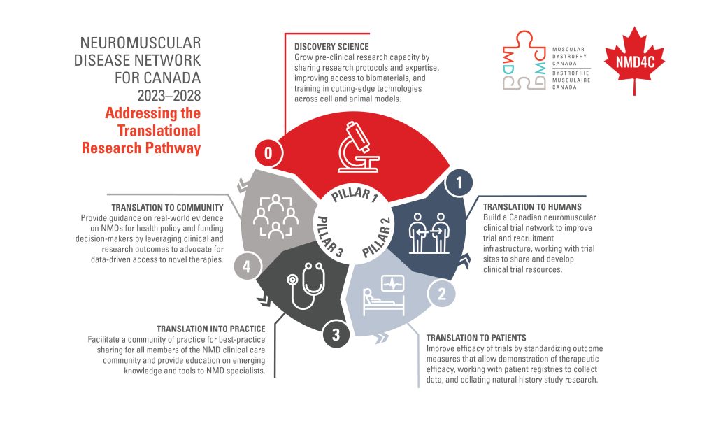 Network Grant: 2023-2028 - NMD4C: The Neuromuscular Disease Network for ...